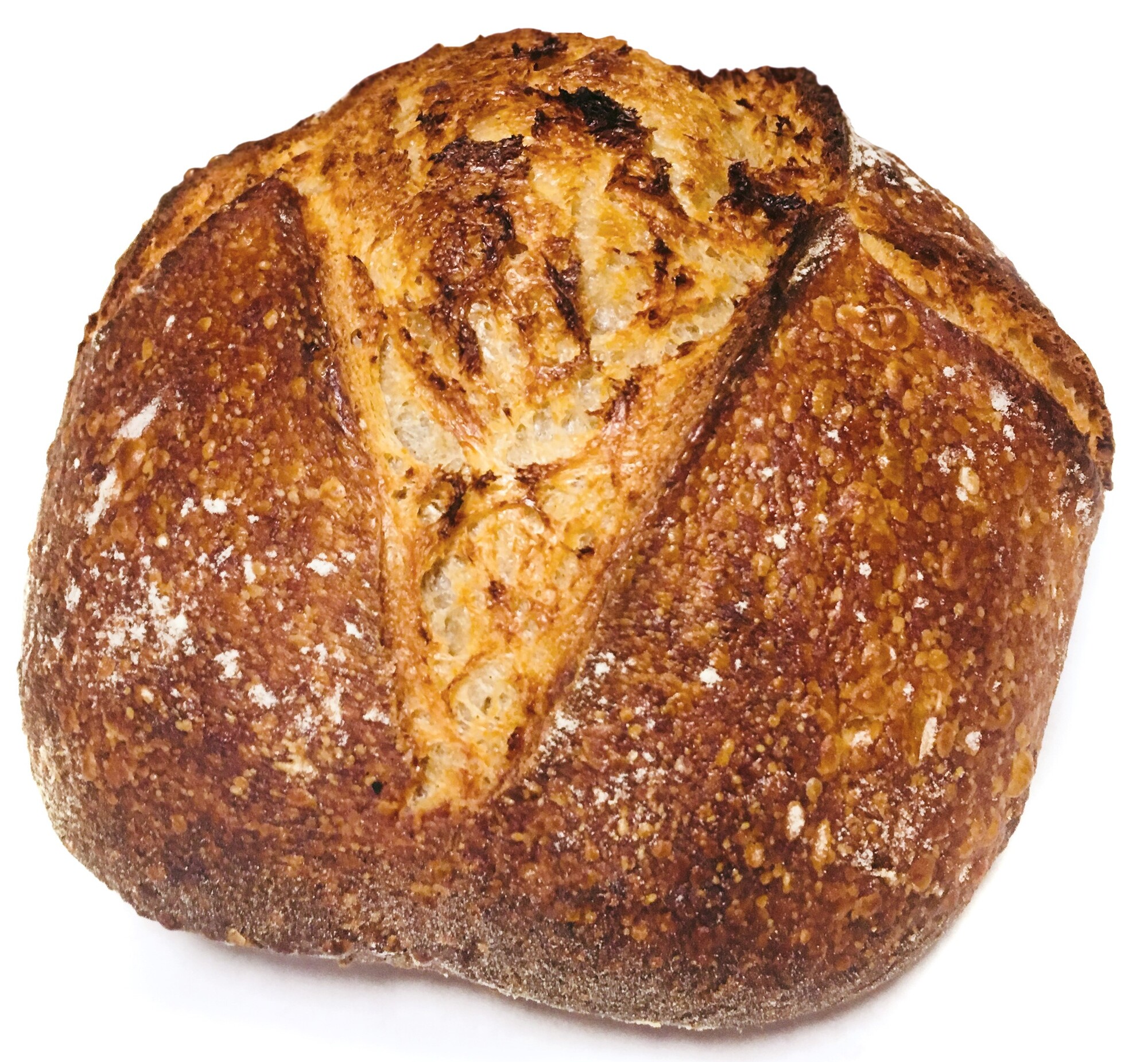 William Thomas Artisan Bakery Pain de Campagne (francouzský venkovský ...