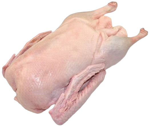 Husa