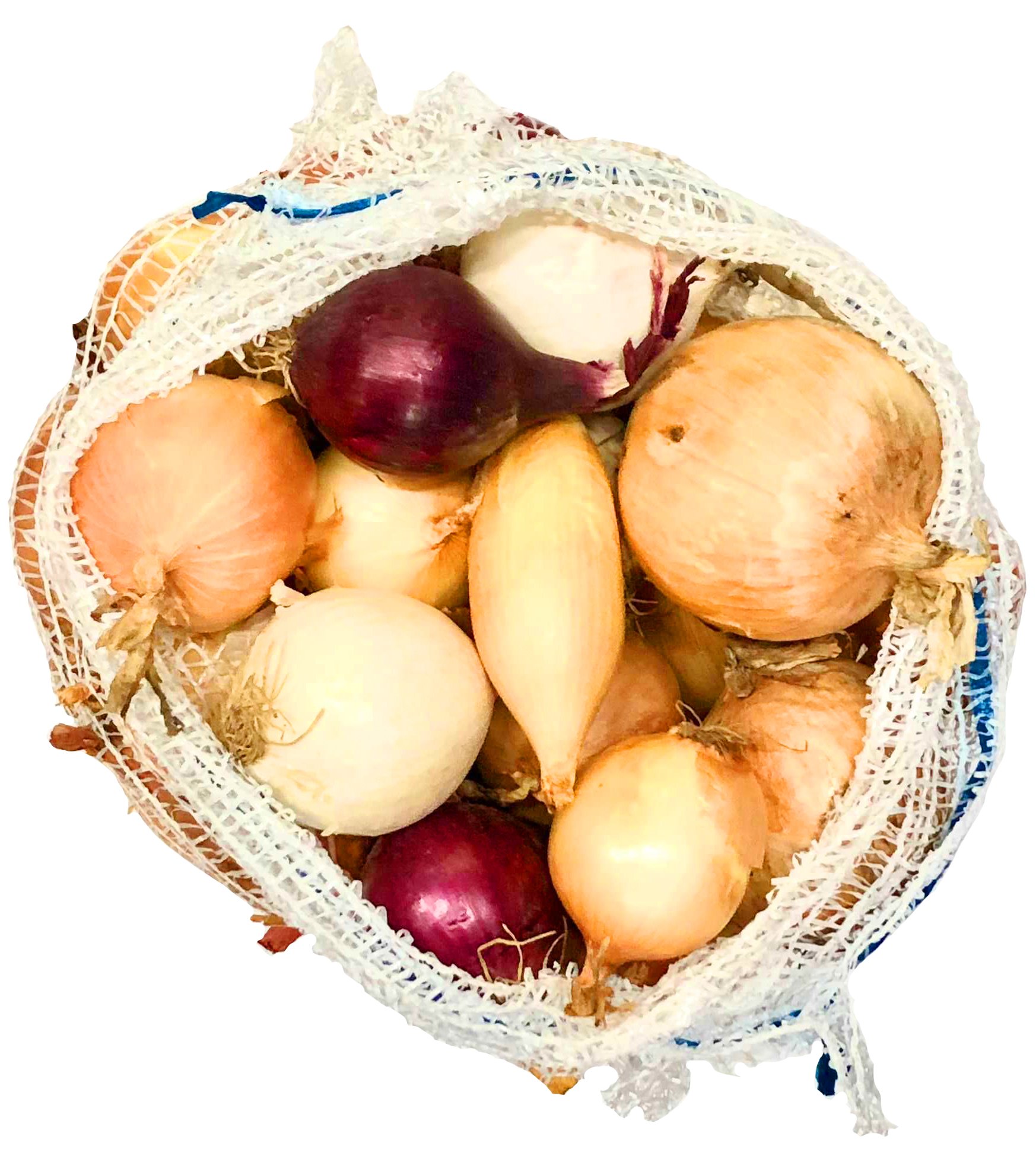 Farm onion mix, packaging
