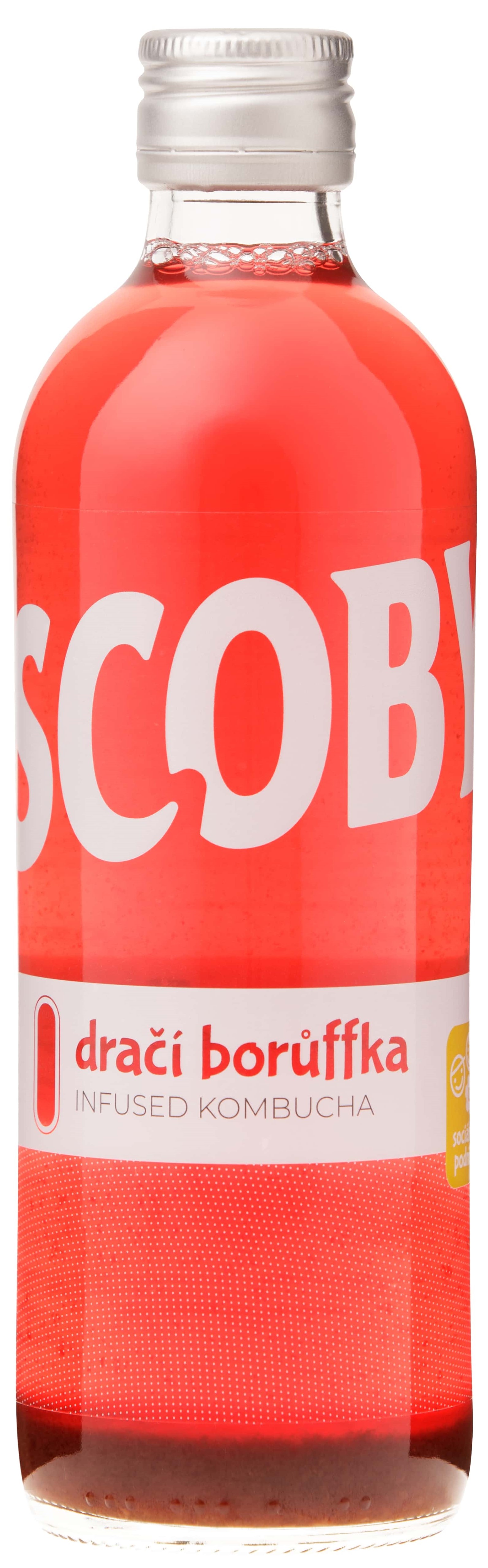 Scoby kombucha Dračí Borůffka