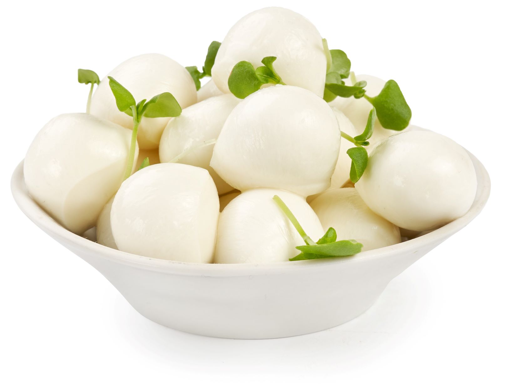 Galbani Bocconcini