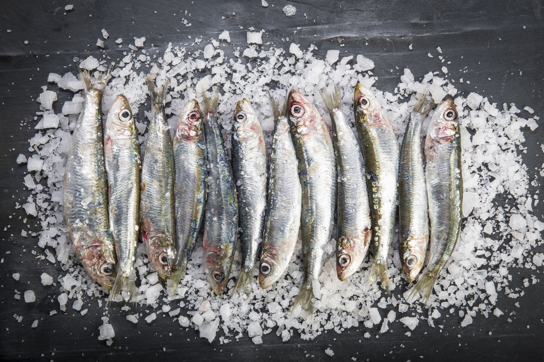 Pelagos Sardinky slané ve slunečnicovém oleji